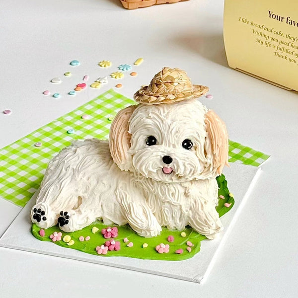 Le Poodle/Maltipoo/Cavapoo Cake – LéCoPet